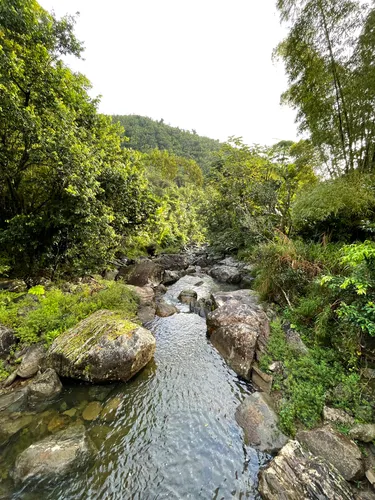 Best 10 Hiking Trails in El Yunque National Forest | AllTrails