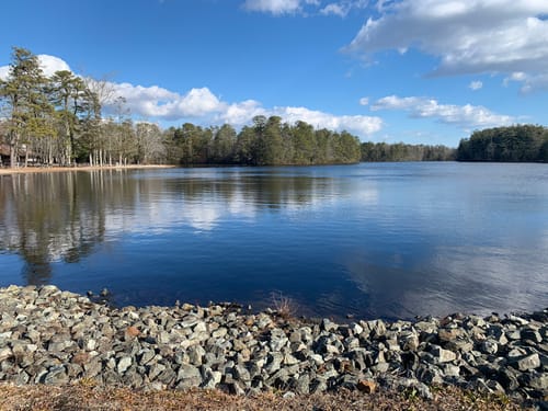 Best Hikes and Trails in Belleplain State Forest | AllTrails