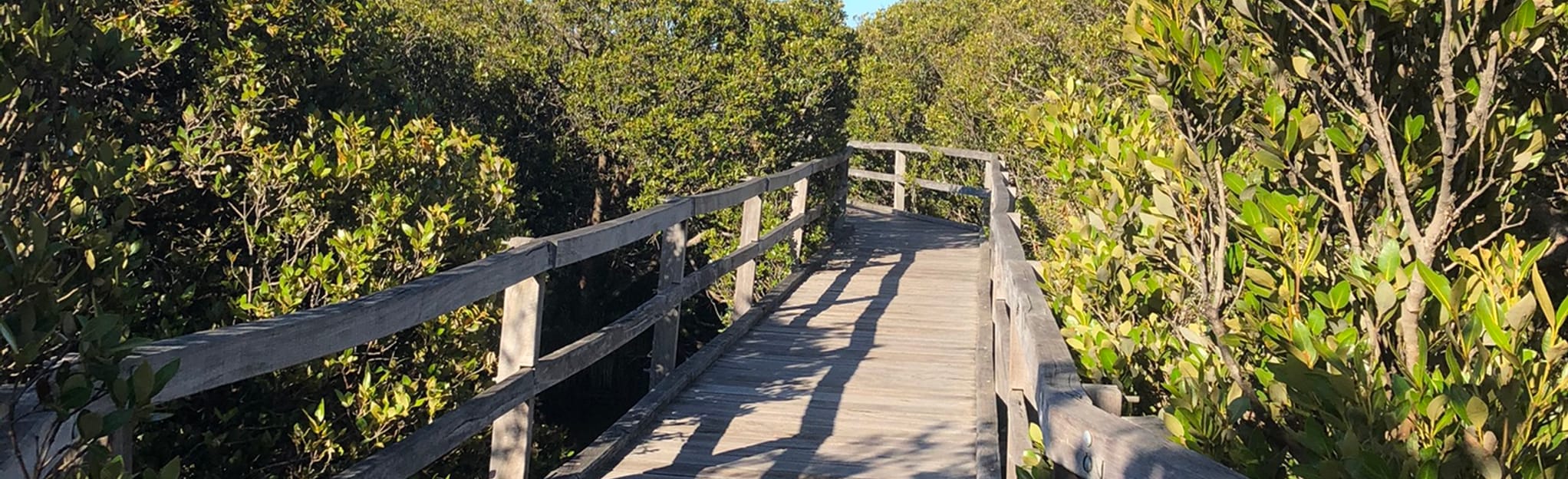 Leschanault Inlet Loop: 170 Reviews, Map - Western Australia, Australia ...