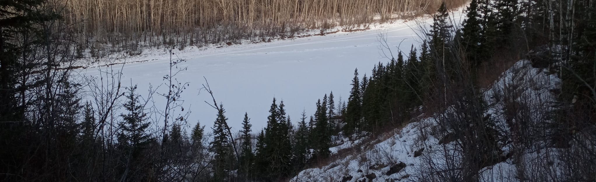 Nitehawk to Pam's Point: 20 Reviews, Map - Alberta, Canada | AllTrails