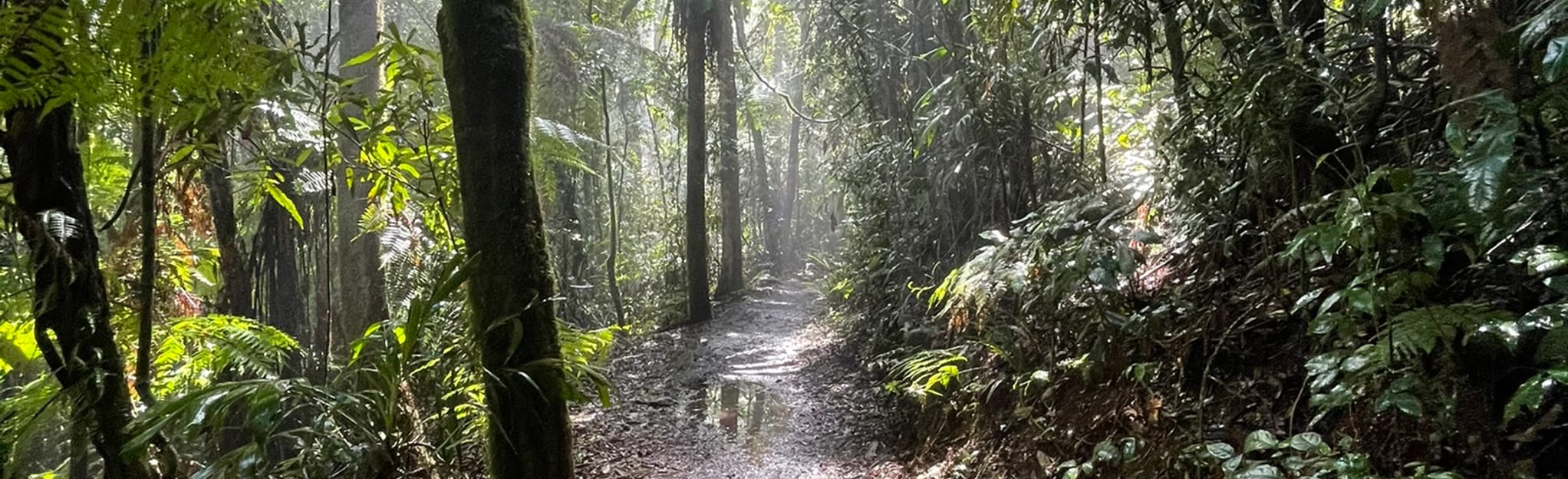 Border Track and Albert River Circuit, Queensland, Australia - 324 ...