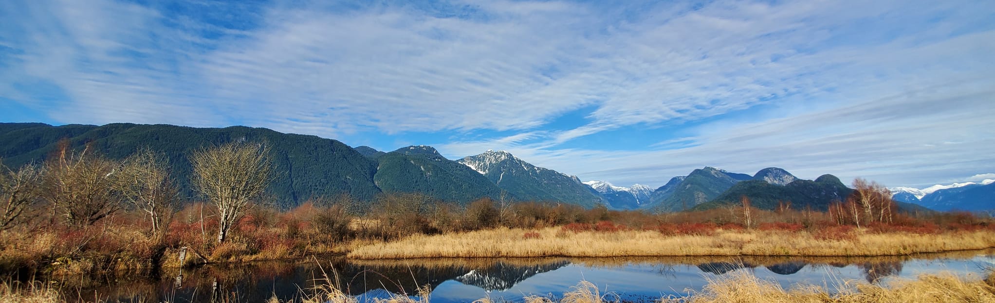 Homilk'um Marsh Loop, British Columbia, Canada - 69 Reviews, Map ...