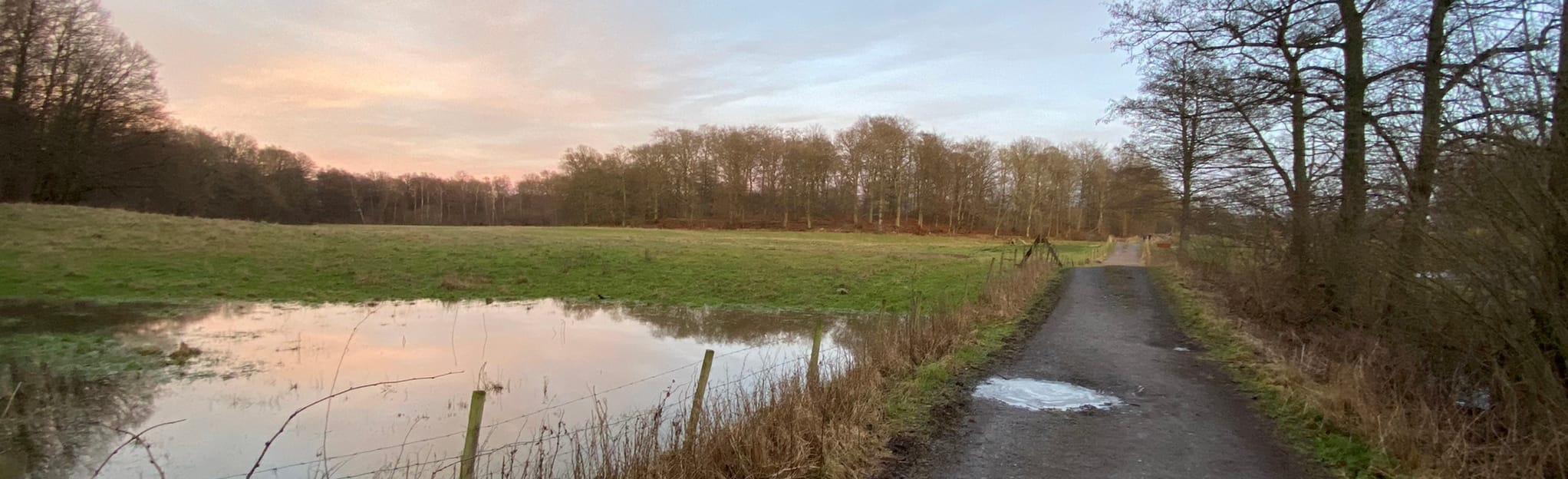 Svaneholm Red Loop, Skåne, Sweden - 17 Reviews, Map | AllTrails