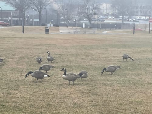 Best Hikes and Trails in Granger Park | AllTrails