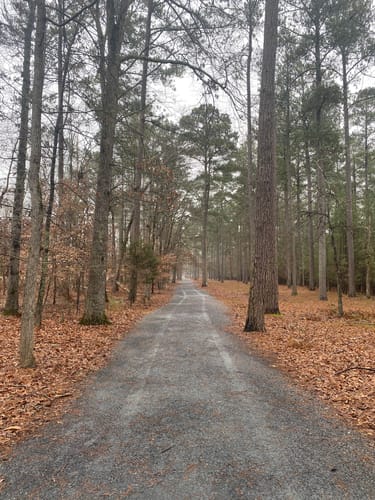 Best Hikes and Trails in Dellinger Park | AllTrails