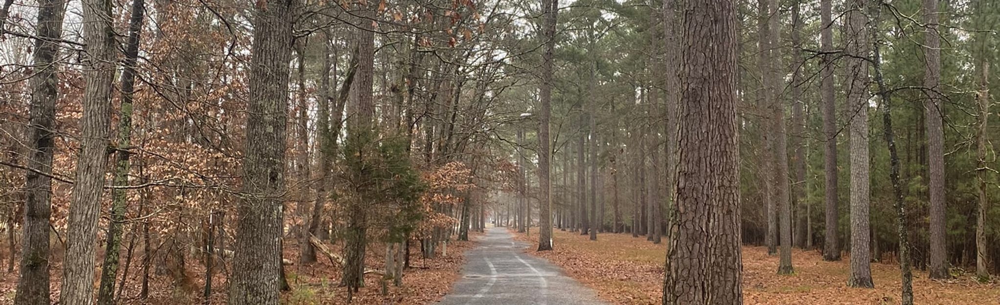 Dellinger Park Loop, Georgia - 234 Reviews, Map | AllTrails