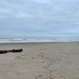Barview Jetty Beach Walk, Oregon - 109 Reviews, Map | AllTrails
