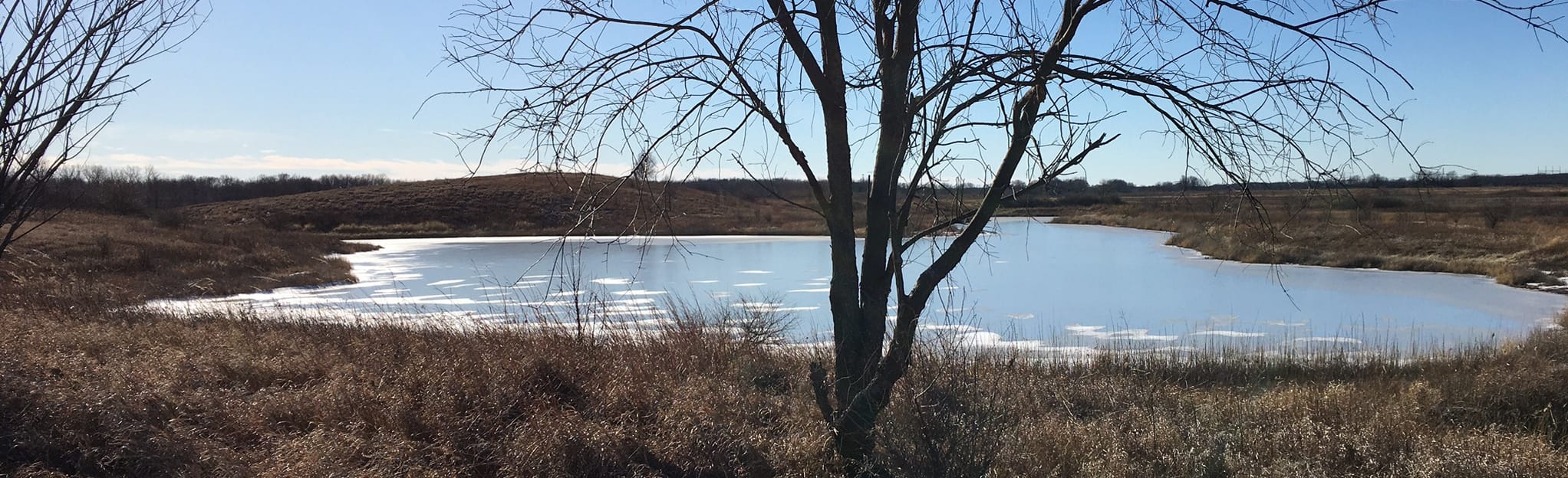 Prairie View Trail, Illinois - 44 Reviews, Map | AllTrails