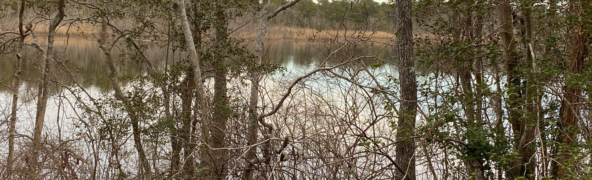 Duck Farm Loop | Map, Guide - New Jersey | AllTrails