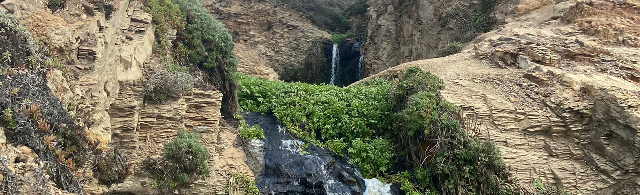 31 Best Point Reyes Trails To Hike In Point Reyes National Seashore