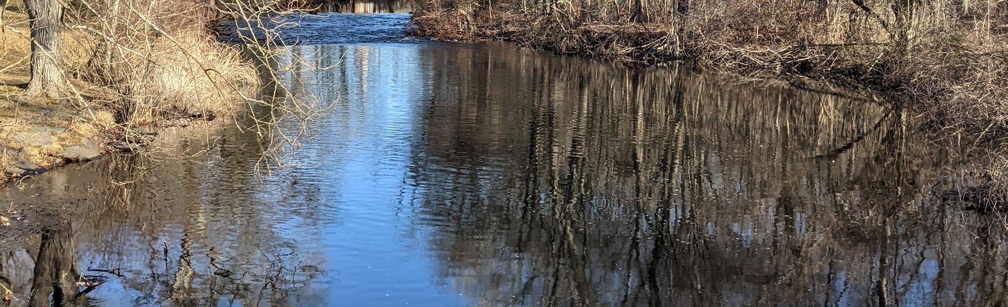 Springer Glen Open Space, Connecticut - 45 Reviews, Map | AllTrails