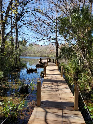 Best Hikes and Trails in Fakahatchee Strand Preserve State Park | AllTrails