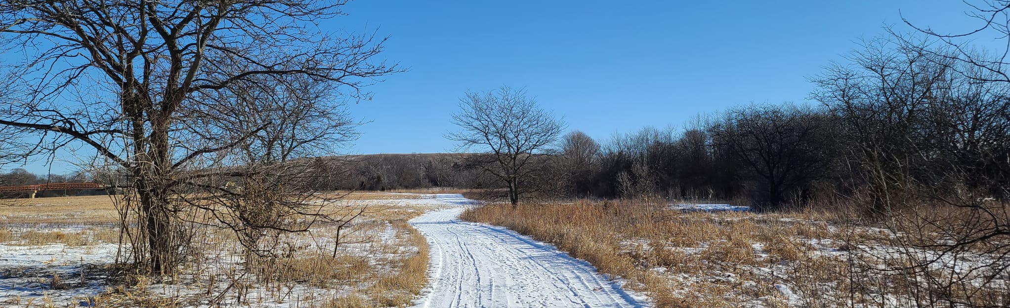 Hawk Hollow Forest Preserve: 65 Reviews, Map - Illinois | AllTrails