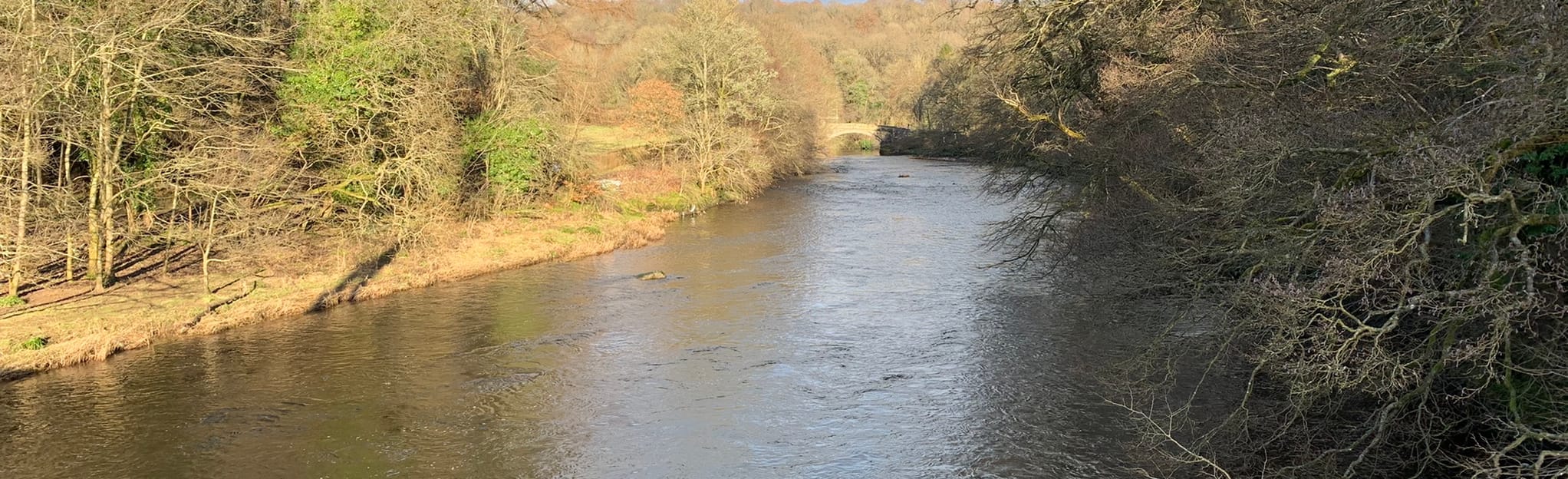 Avon Water and Chatelherault House Circular: 44 Reviews, Map - South ...