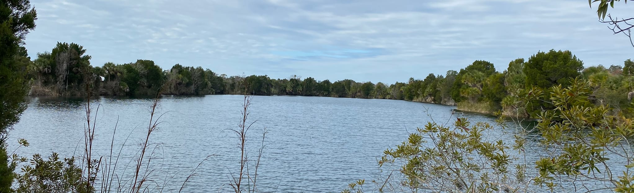 Three Sisters Springs, Florida - 149 Reviews, Map | AllTrails
