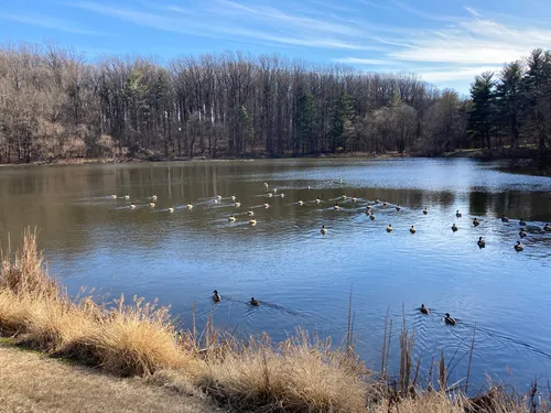 Best Hikes and Trails in Wheaton Regional Park | AllTrails