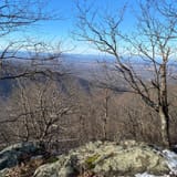 Shamokin Nature Trail, Virginia - 99 Reviews, Map | AllTrails