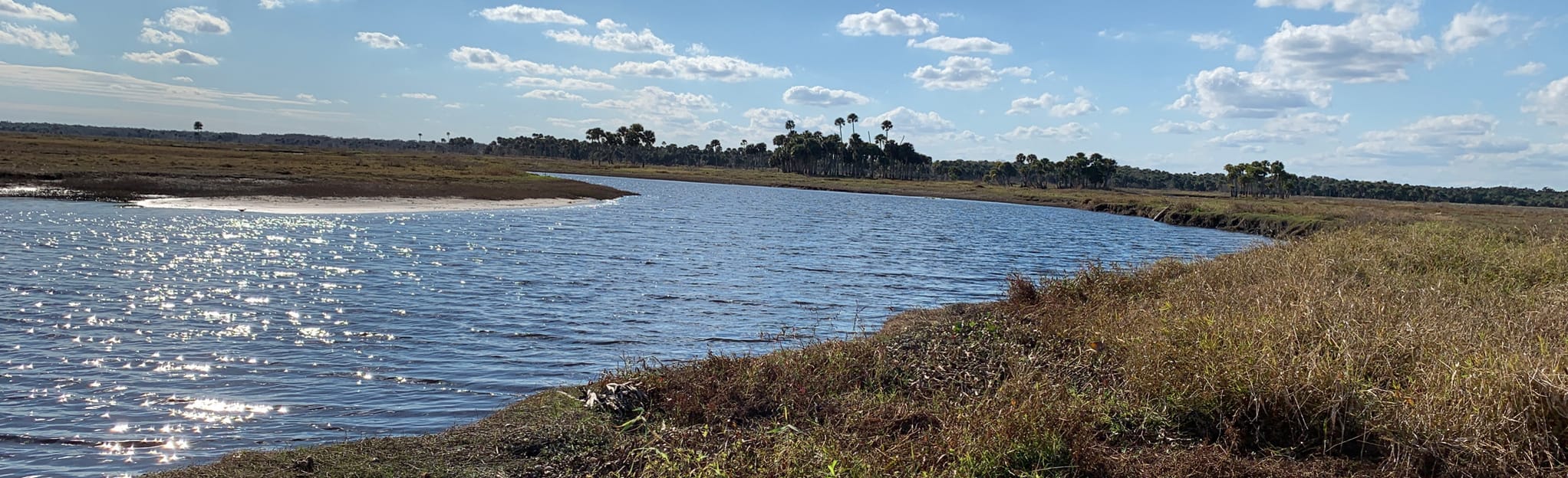 Kilbee Tract to the Econ River: 20 Reviews, Map - Florida | AllTrails