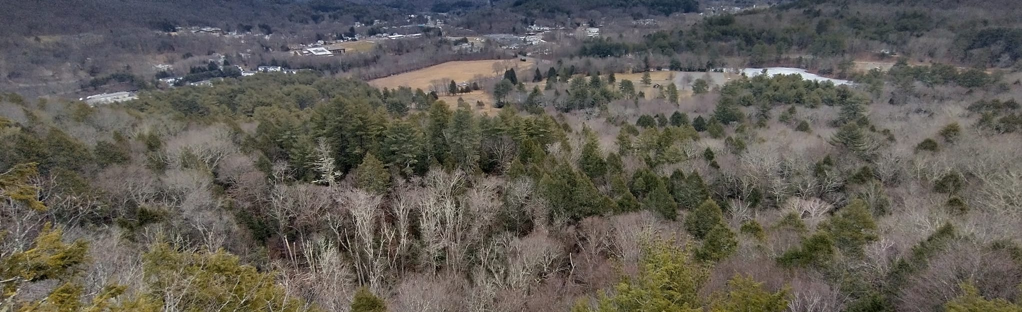 Blue Trail to Red Trail Loop, Connecticut - 256 Reviews, Map | AllTrails