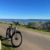 Larry Scott Trail, Washington - 351 Reviews, Map | AllTrails