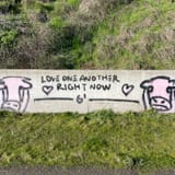 Larry Scott Trail, Washington - 351 Reviews, Map | AllTrails