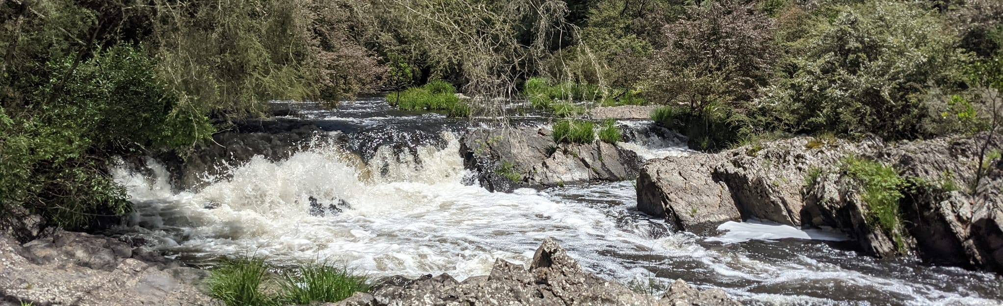 Enoch Point Falls, Victoria, Australia - 4 Reviews, Map | AllTrails