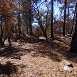 Sutherland Trail, Arizona - 207 Reviews, Map | AllTrails