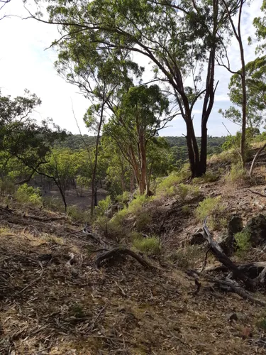 Best Hikes and Trails in Long Forest Flora and Fauna Reserve | AllTrails