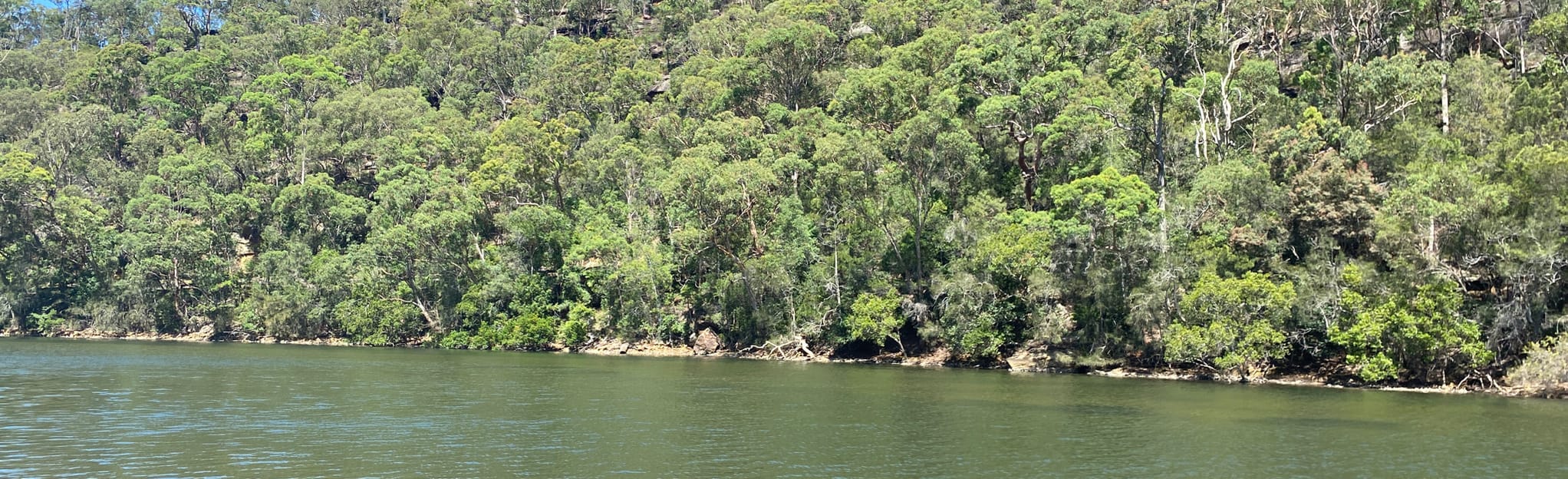 Cowan Creek Paddle: Bobbin Head to Cotton Tree Bay: 3 Reviews, Map ...