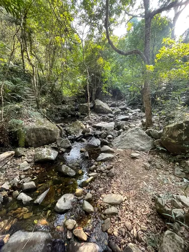 Best Hikes and Trails in Tai Po Kau Nature Reserve | AllTrails