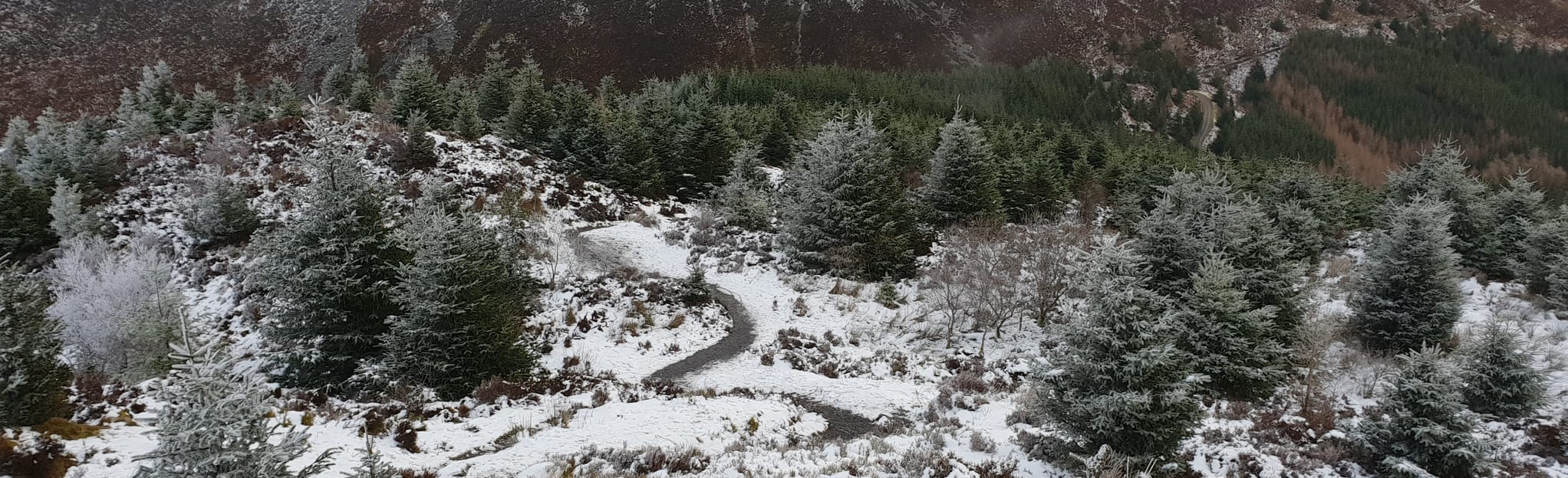 Dodd Wood and Summit Circular : 449 Photos - Cumbria, Angleterre ...