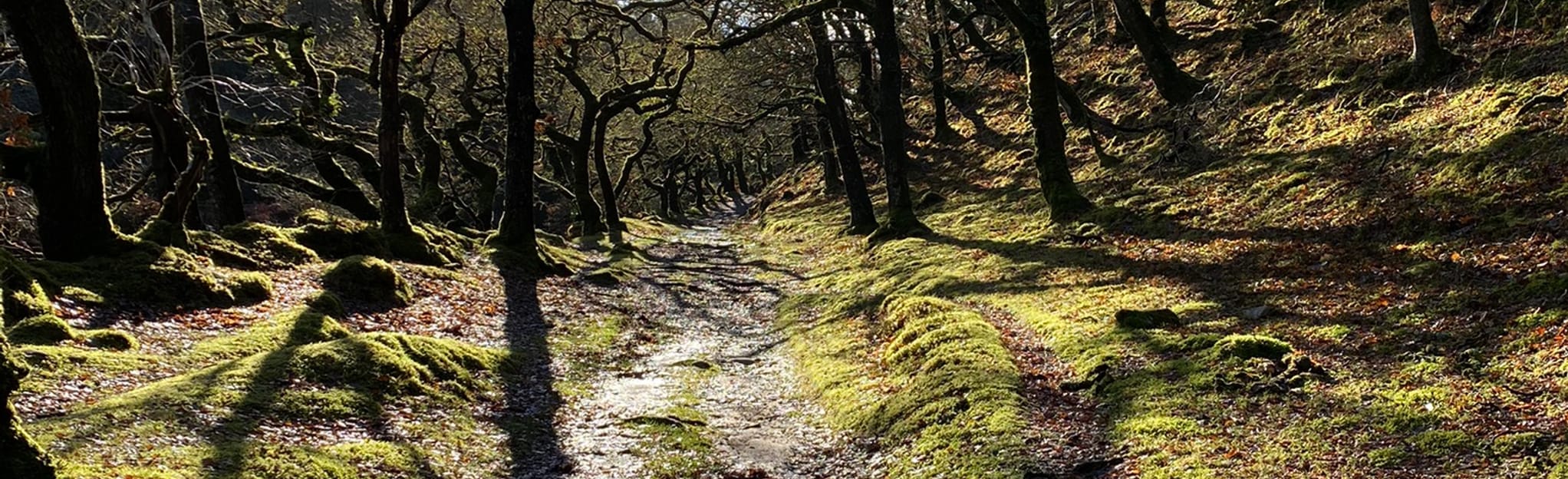 Lorna Doone Valley Trail: 41 foto's - Devon, Engeland | AllTrails