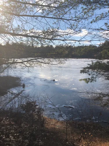 Best Hikes and Trails in Boxford State Forest | AllTrails