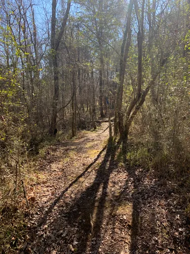 Best Hikes and Trails in Cathedral Caverns State Park | AllTrails