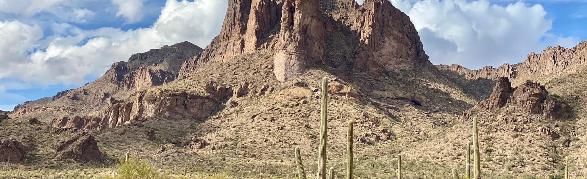 AllTrails | Carney Springs Trail and Lost Goldmine Trail: 104 Reviews ...