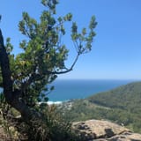 Stanwell Tops, New South Wales, Australia - 52 Reviews, Map | AllTrails