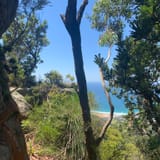 Stanwell Tops, New South Wales, Australia - 52 Reviews, Map | AllTrails