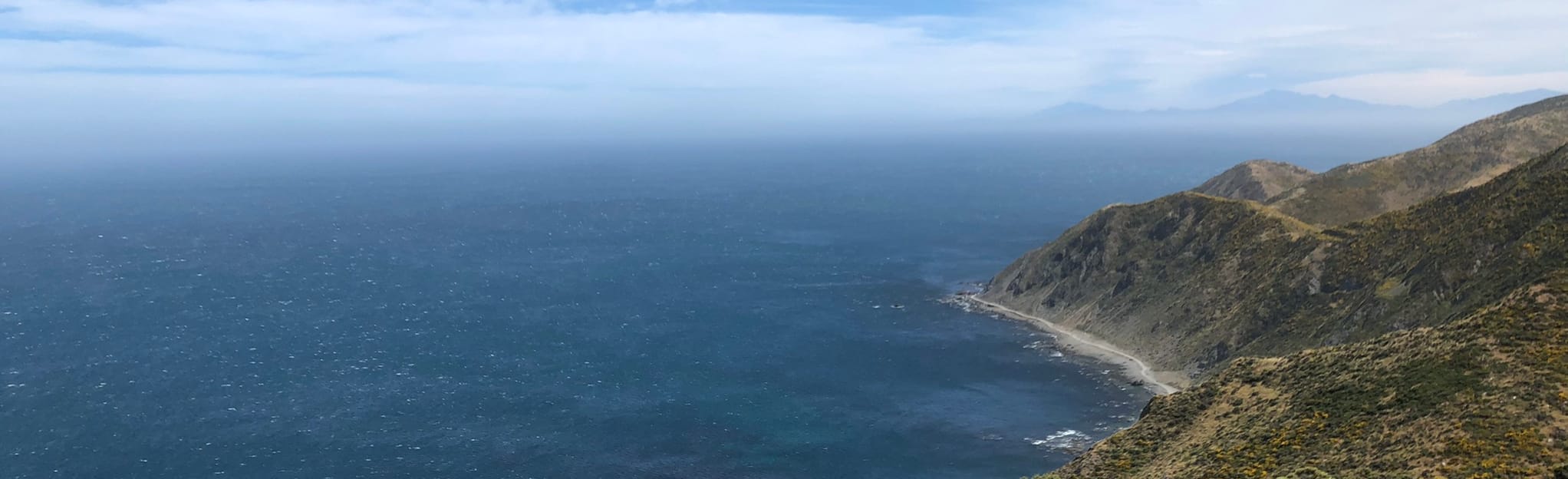 Pari-Whero (Red Rocks) Loop, Wellington, New Zealand - 148 Reviews, Map ...