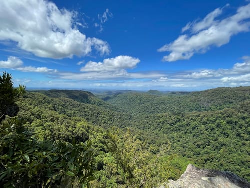 Best 10 Hikes and Trails in Springbrook National Park | AllTrails