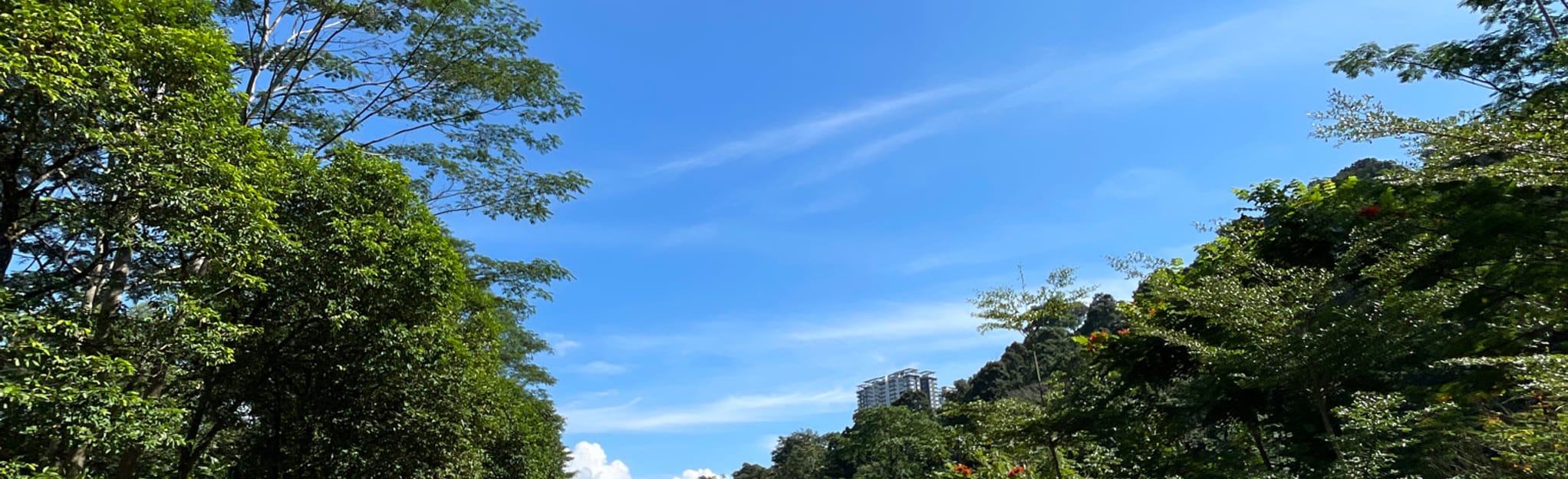 Bukit Lanjan via Light Blue and Red Trails: 7 Reviews, Map - Selangor, Malaysia | AllTrails