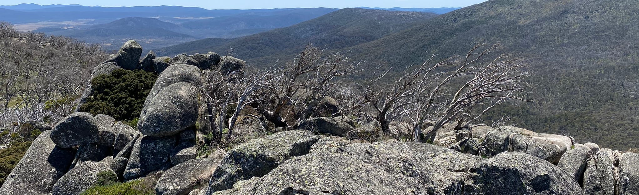 Mount Murray Summit: 1 Reviews, Map - New South Wales, Australia ...