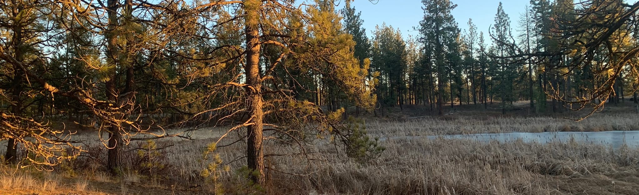 Kepple Peninsula Interpretive Trails: 28 Reviews, Map - Washington ...