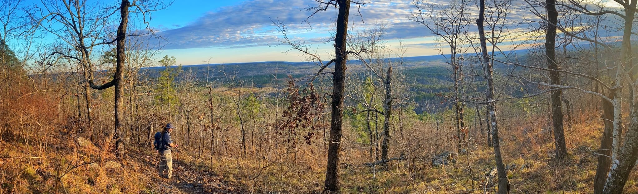Flagg Mountain via CC Camp Trail , Alabama - 58 Reviews, Map | AllTrails