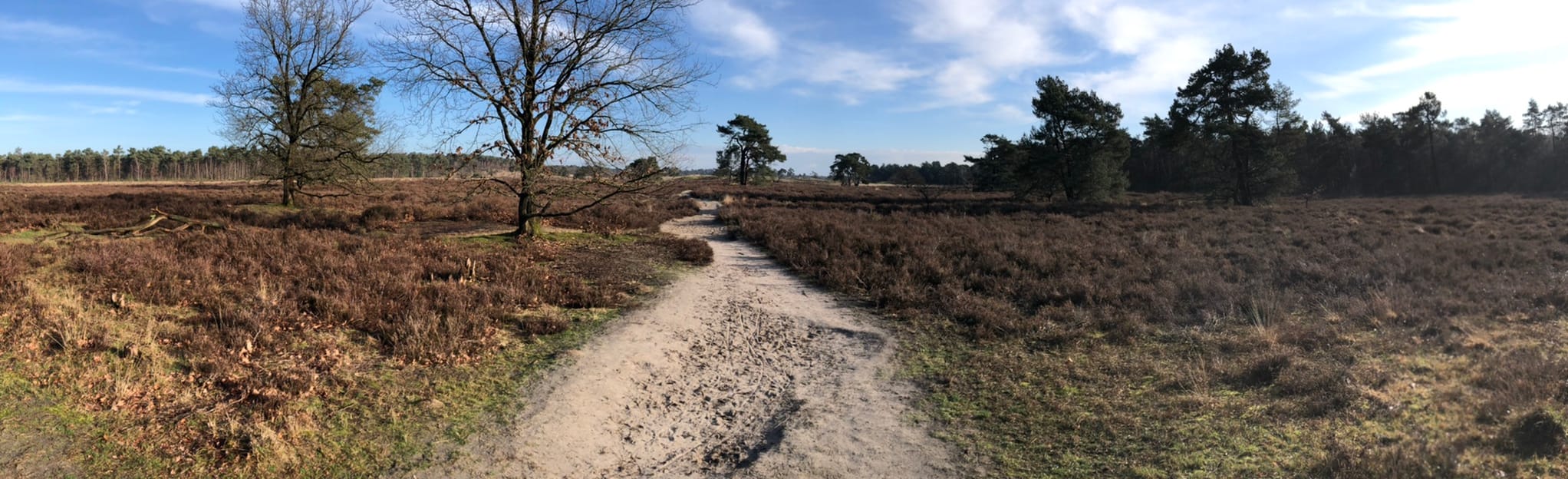 Loon op Zand - Loonse en Drunense Duinen - Kraanvense Heide | Map ...