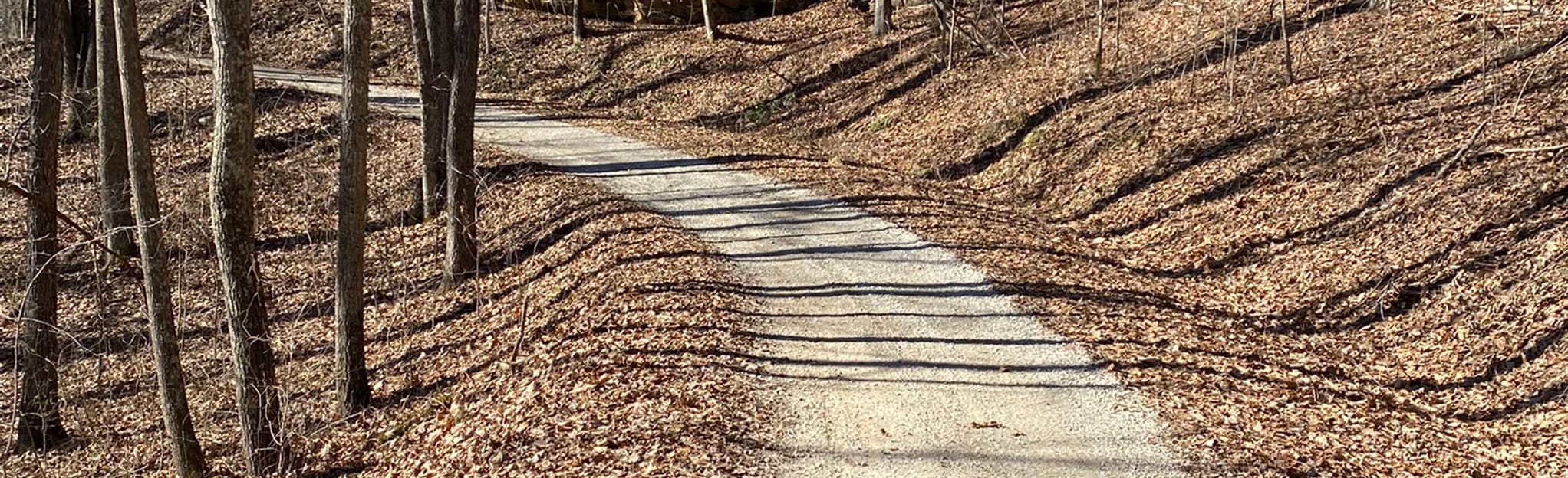 Sheltowee Trace: S Tree Campground to Turkey Foot Campground: 33 ...