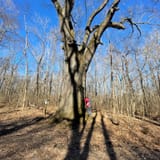 Cache River and Heron Pond State Natural Areas, Illinois - 142 Reviews ...