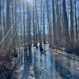 Cache River and Heron Pond State Natural Areas, Illinois - 142 Reviews ...