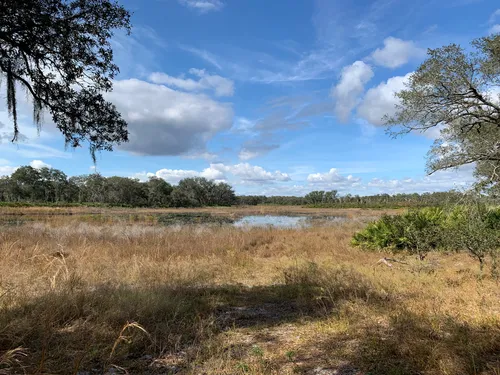 Best Hikes and Trails in Lake Wales Ridge State Forest | AllTrails