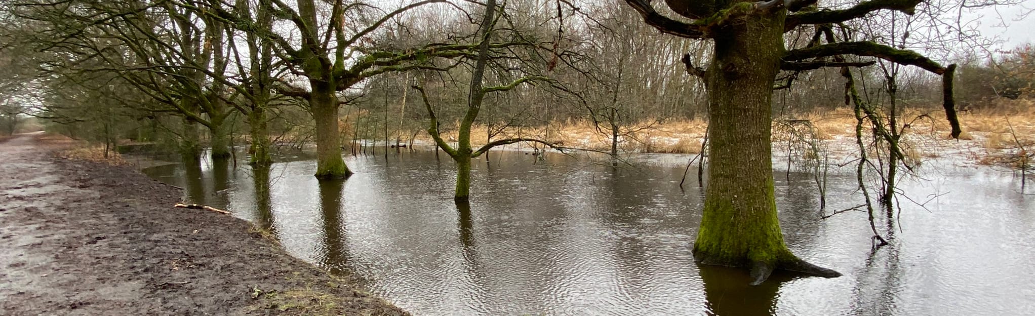 North 40 Dog Park Loop, British Columbia, Canada - 45 Reviews, Map ...