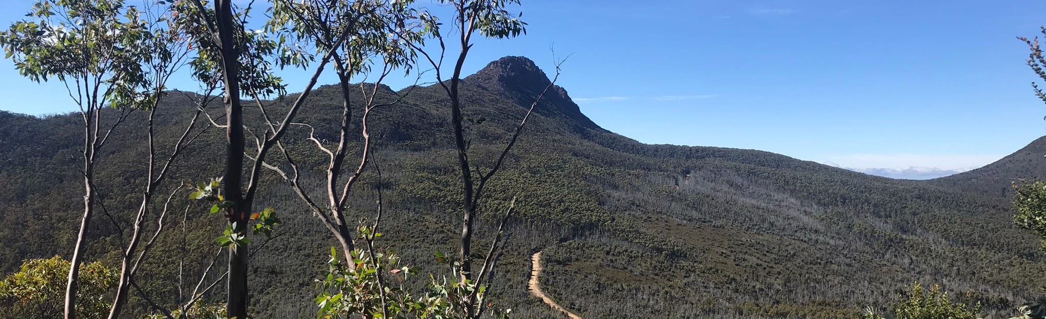 Myrtle Forest Falls, Tasmania, Australia - 22 Reviews, Map | AllTrails